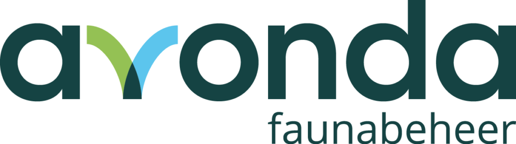 Zelf kauwen of kraaien verjagen met deze tips - Avonda Faunabeheer